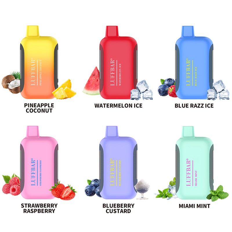 LUFFBAR Dually Disposable Vape Wholesale 20000 Puffs Rechargeable High ...